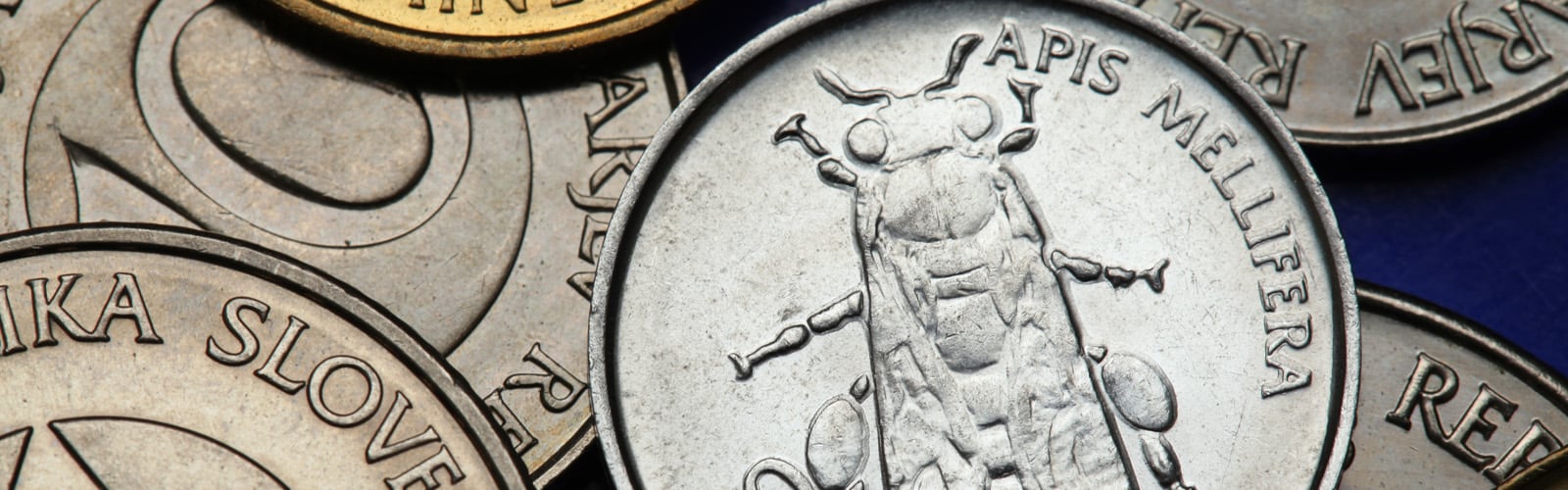 Insects on Coins - Updated for 2025 - Pests.org