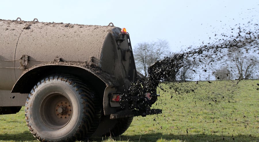 When And How To Use Liquid Fertilizers And Natural Bug Repellents ...